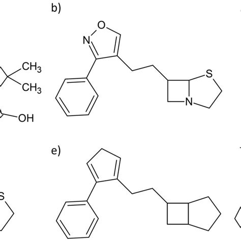 different scaffold types available in scaffold generator a unaltered download scientific