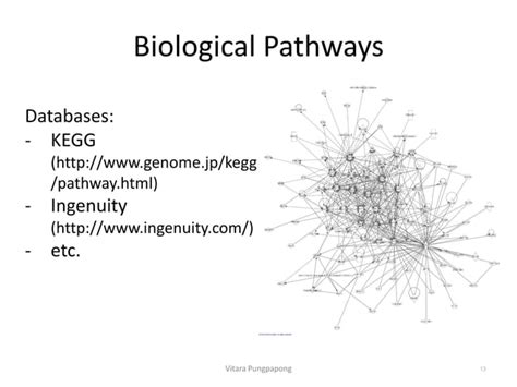 Single Nucleotide Polymorphism Analysis Snps Pdf