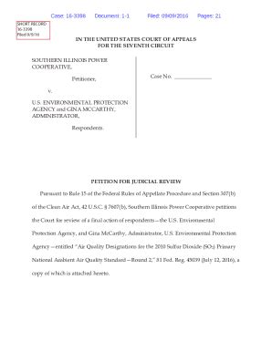 Fillable Online SIPC Petition For Judicial Review 9 9 16 Pdf Fax Email Print PdfFiller