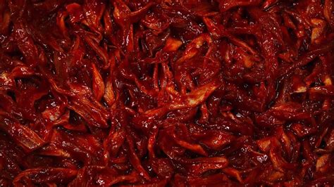 양파는 무조건 많이 사서 이렇게 만드세요 양파 한박스를 담아도 남아나질 않는 비법 레시피🥇 평생 써먹는 양파요리 맛있게 만드는 법 양파고추장장아찌 양파장아찌 양파