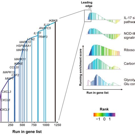 Rank Based Gene Set Enrichment Analysis Of Genes That Were Regulated Download Scientific