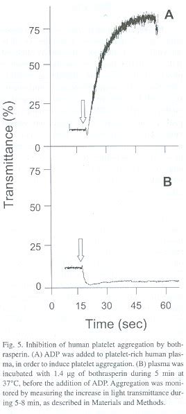 Isolation Of Bothrasperin A Disintegrin With Potent Platelet Aggregation Inhibitory Activity