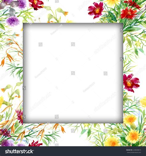 Watercolor Flower Frame On White Background 库存插图 229040815 Shutterstock