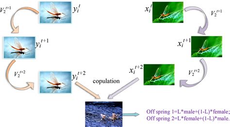Optimization Principle Of Mmo Download Scientific Diagram