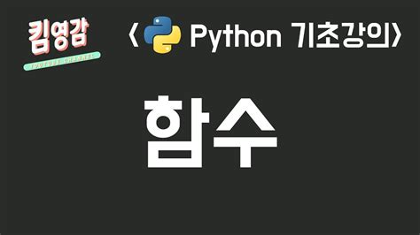 함수 Python 기초강의 13 Youtube