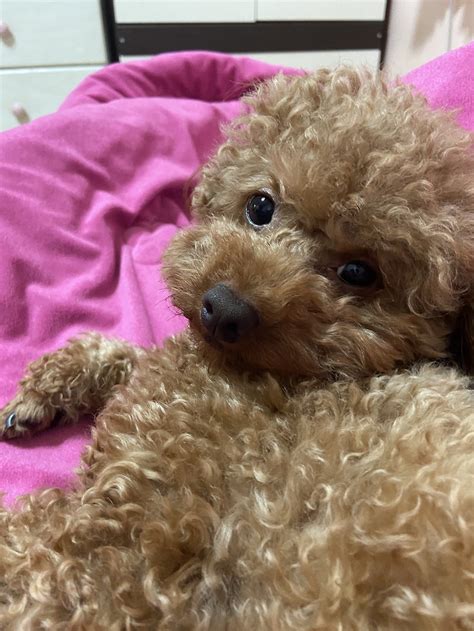 Docker로 Mariadb 사용하기