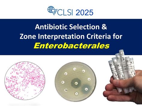 Clsi 2025 Antibiotic Selection And Zone Interpretation Criteria For Enterococcus Spp