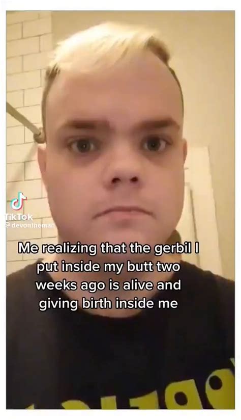 Me Realizing That The Gerbil Put Inside My Butt Two Weeks Ago Is Alive