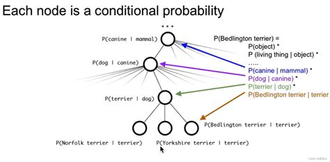 深度学习系列7——目标检测 Yolo 系列2构建基于yolov2的可见光图像饲料机内鸡只目标检测深度学习模型 Csdn博客