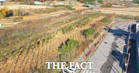당진시 석문국가산업단지 기후 대응 도시 숲 조성