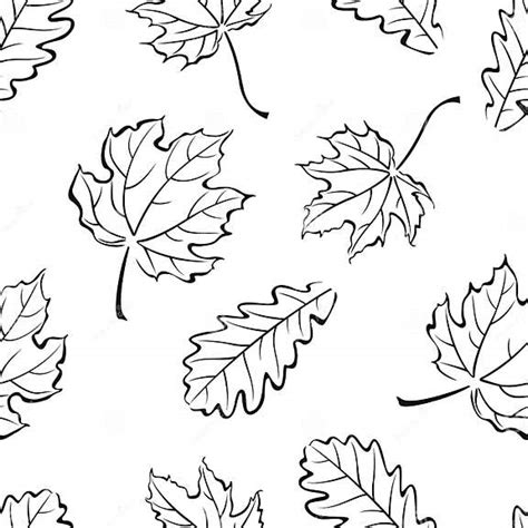 Feuilles Dautomne Noir Et Blanc Illustration Vectorielle Des Feuilles