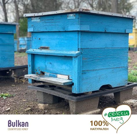 Bulkan Днес за втора поредна година отбелязваме Световния ден на пчелите 🐝☀️ Нека не забравяме