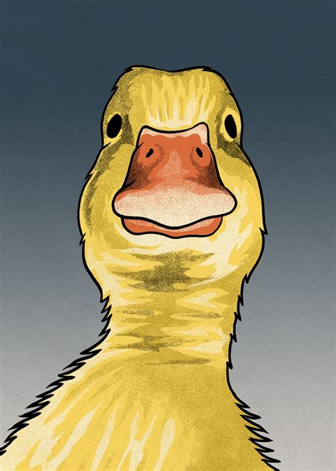 Duck Staring Meme Posters And Prints By Adam Khabibi Printler