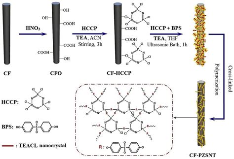 Carbon Fibers Oxidized To Cfo Pzs‐nanotubes Formed By Condensation Download Scientific Diagram