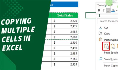 Step By Step Guide Copying Multiple Cells In Excel Earn And Excel