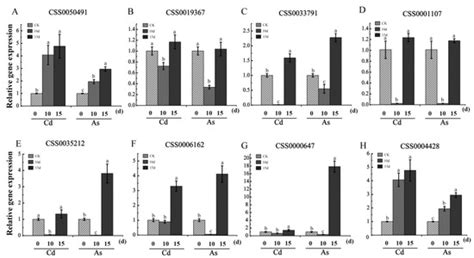 Plants Special Issue Molecular Breeding And Stress Physiology In Horticultural Crops