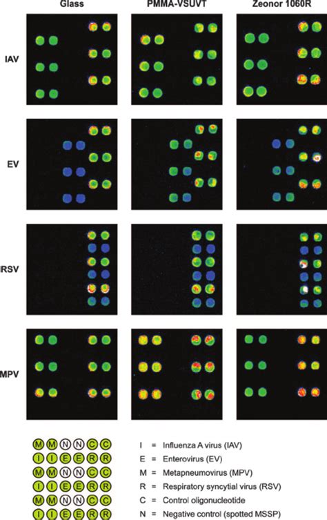 One Hour Passive Microarray Hybridizations On Pmma Vsuvt Zeonor Download Scientific Diagram