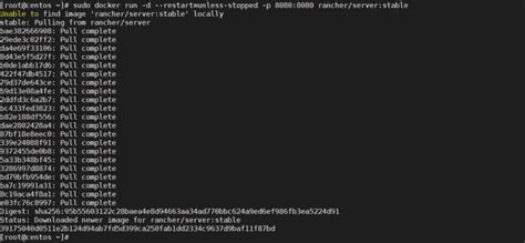 How To Install Rancher On CentOS 7 SysAdminXpert
