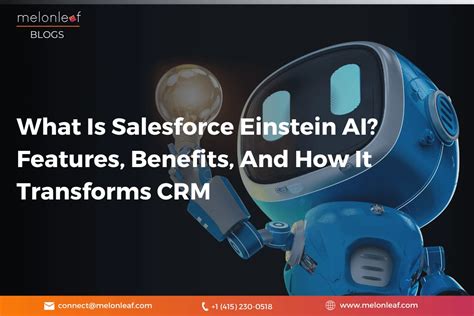 Types Of Salesforce License And Costs Melonleaf Consulting