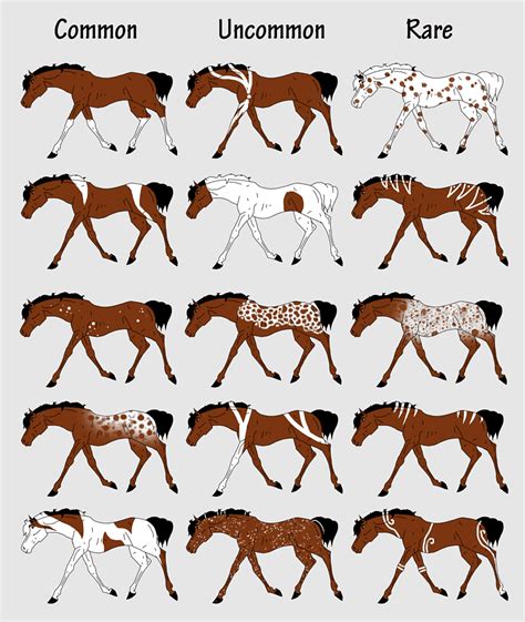 Horse Colors Ending In Rings