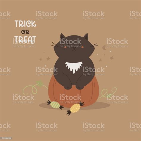 재미있는 고양이와 호박이있는 할로윈 일러스트 레이 션 10월에 대한 스톡 벡터 아트 및 기타 이미지 10월 가을 계절 Istock