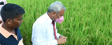 Icar Central Island Agricultural Research Institute Agribot News