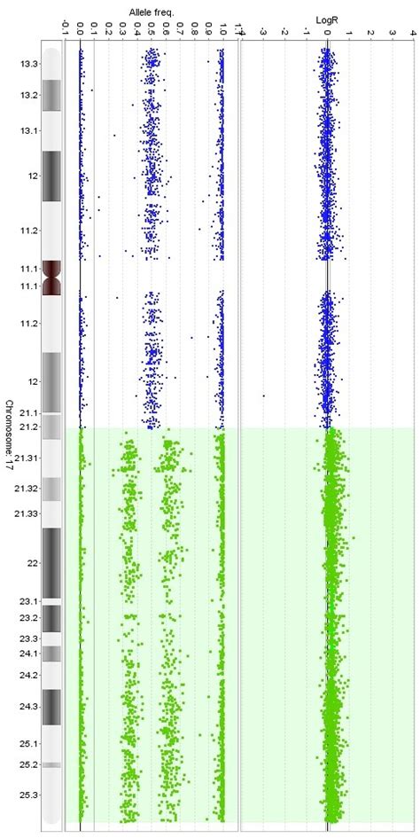 Single Nucleotide Polymorphism Snp Microarray Wicell