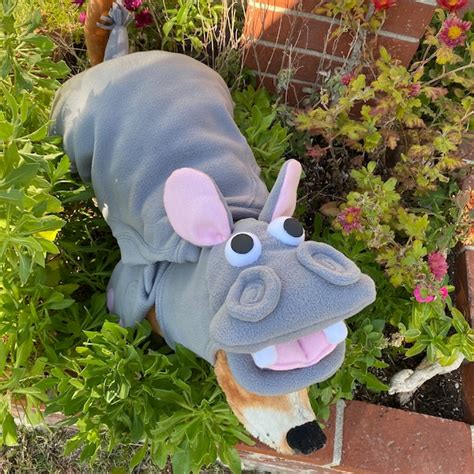 Hippo Costume Etsy