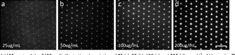 Figure 1 From A Microwell Array Platform To Print And Measure Biomolecules Produced By Single