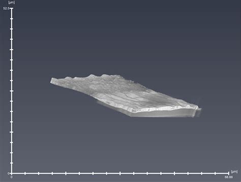 A Multi Scale Understanding Of The Three Dimensional Microstructure Of The Cornea Using Oxygen