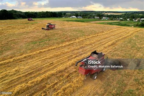 밀밭에서 일하는 수확기를 결합합니다 농지에서 작물을 절단하는 동안 기계 수확 0명에 대한 스톡 사진 및 기타 이미지 0명