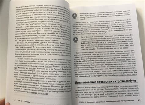 Турецкий язык для чайников [Элиф Дилмач] купить книгу в Киеве, Украина ...