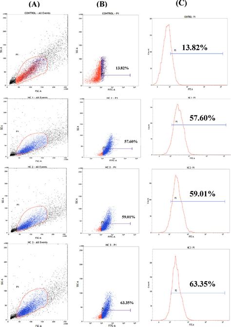 Dna Fragmentation Analysis By Tunel Assay Dna Fragmentation Analysis