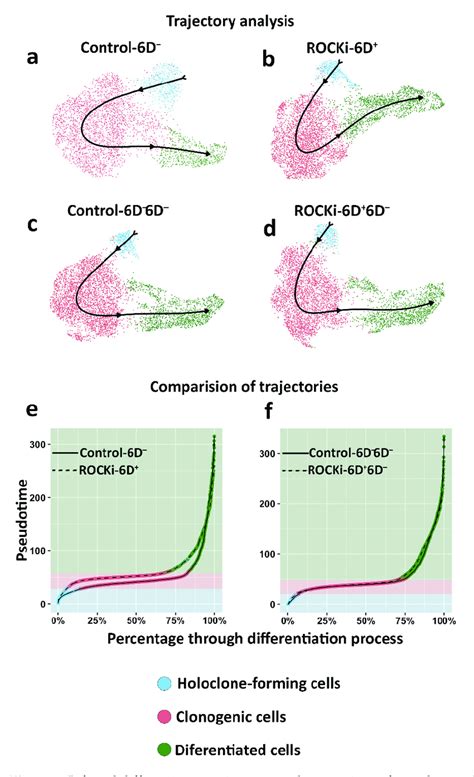 inferred differentiation trajectories and comparison of pseudotime