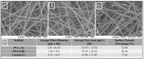 Investigation Of Cell Adhesion And Cell Viability Of The Endothelial And Fibroblast Cells On