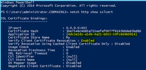 Solved Escepe Verify Client Cert Revocation Crl In Iis 8x