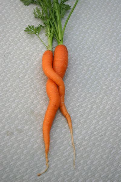 Randy Dellosa Yahoo Interview The Chito Neri Sex Video And Other