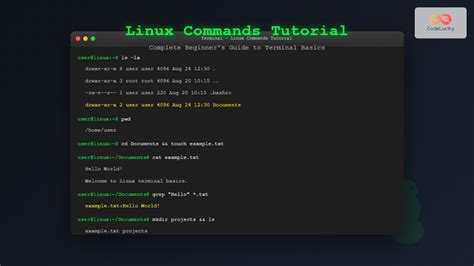 Sh Command Linux Complete Guide To Shell Script Execution And Commands