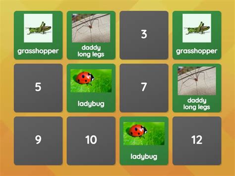 Memory Bugs Matching Pairs