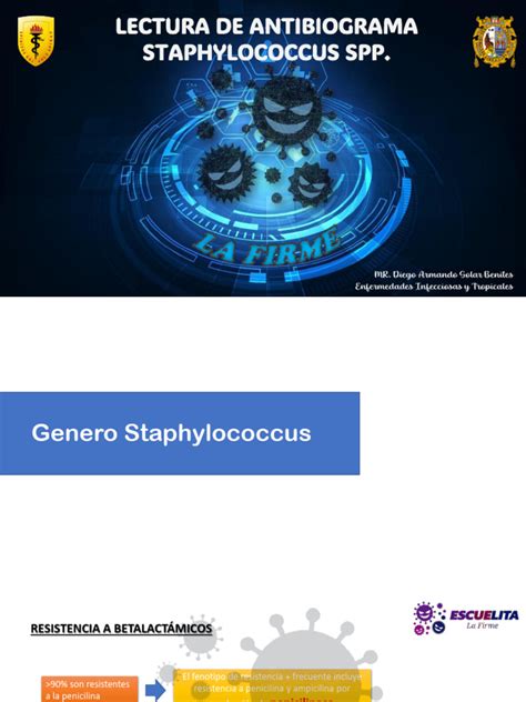 Mecanismo De Resistencia Staphylococcus Spp Pdf Beta Lactamasa Microbiología