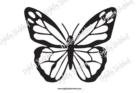 Beautiful Butterfly Templates Lightly Sketched Beautiful Butterfly Templates Lightly Sketched