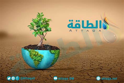 حق الإنسان في بيئة سليمة تأصيل قانوني وديني واجتماعي مقال الطاقة
