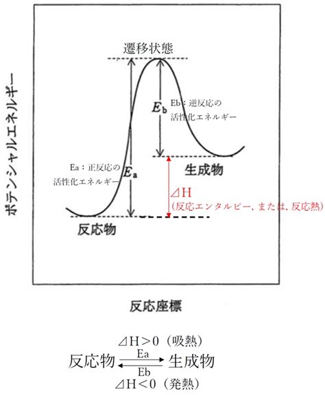 可逆反応のポテンシャルエネルギー曲面 95回薬剤師国家試験問22