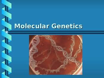 Nucleic Acids Ppt By Science Biology Chemistry Physics TPT