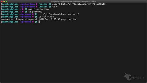 预编译 Lua 模块到 Luajit 字节码中以加快 Openresty 启动速度 Openresty 官方博客
