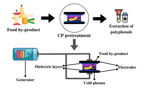 Simplified Schematic Of Extraction Of Polyphenols Using Cp Pretreatment Download Scientific