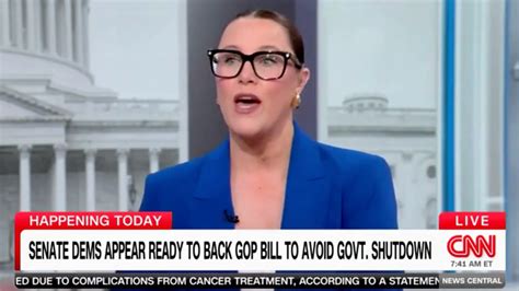 Commentator On Cnn Says Democrats Are A Mess Fox News