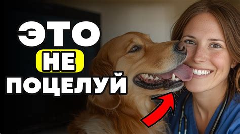 Почему Ваша Собака ЛИЖЕТ Вас Это Не Мило Youtube