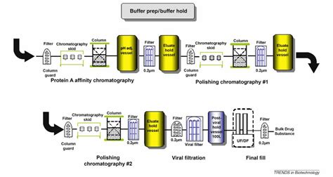 Protein Purification Downstream Processing At Carolyn Redington Blog