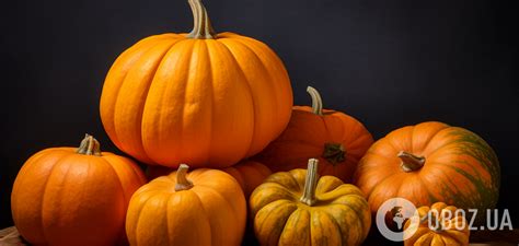 Як треба зберігати гарбузи коли збирати поради городникам Oboz Ua